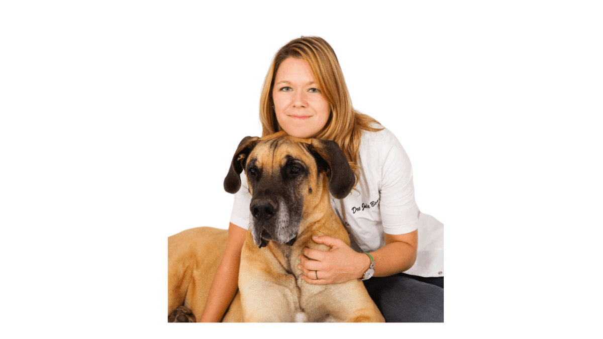Quoi faire avec un chien qui jappe: 5 solutions efficaces