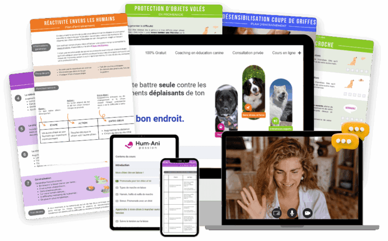 Quoi faire avec un chien qui jappe: 5 solutions efficaces